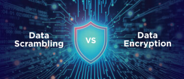 Data Scrambling vs. Encryption: Key Differences for Data Security