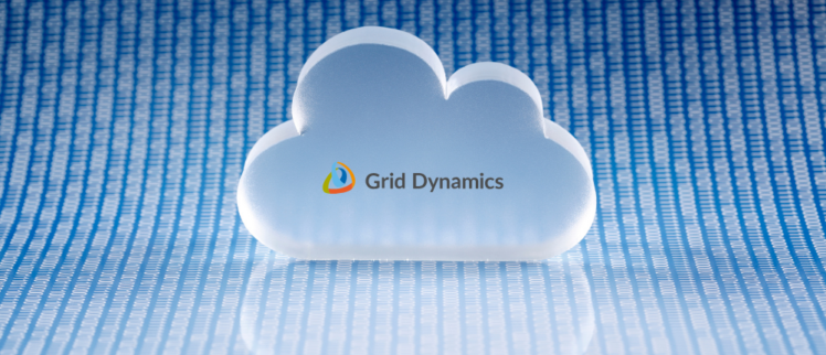Grid Dynamics Releases Developer Portal to Enhance Productivity